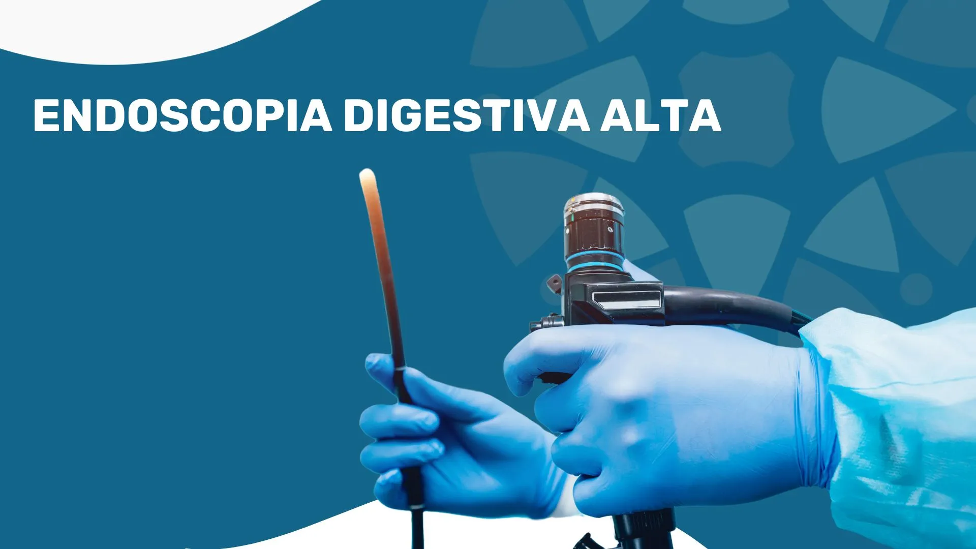 7 Fatos sobre Endoscopia Digestiva Alta EDA para Saber